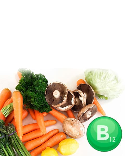 B12 Foods Vegetarian in India: A Comprehensive Guide