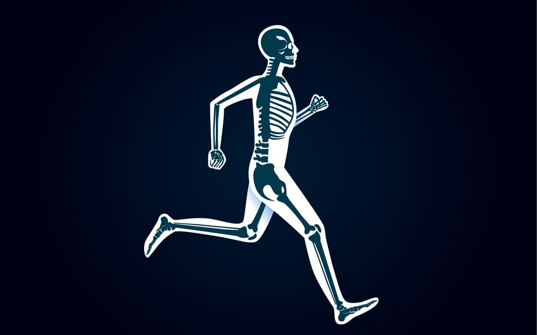 Bone Functions What Are The Functions Of Bones MFine Bone Functions What Are The Functions Of Bones MFine